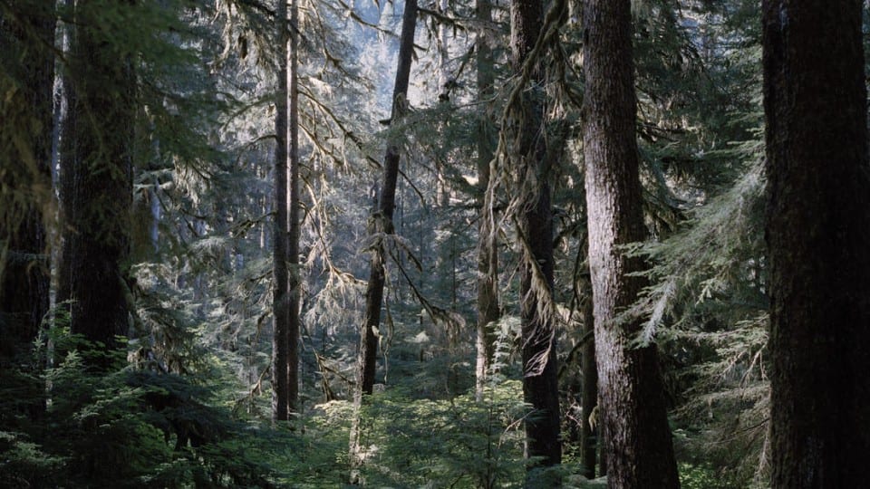 Aesthetica Magazine - Next Generation 2015 Interview with Photographer ...