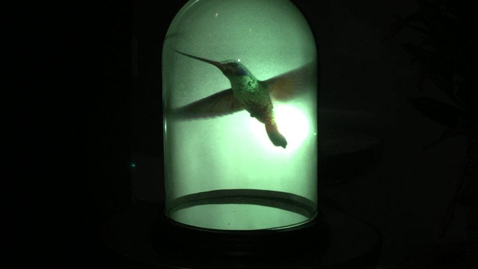 Aesthetica Magazine - Carl Hopgood