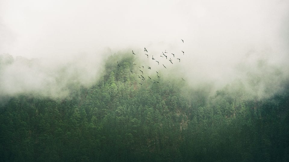 Aesthetica Magazine - Johan Lund