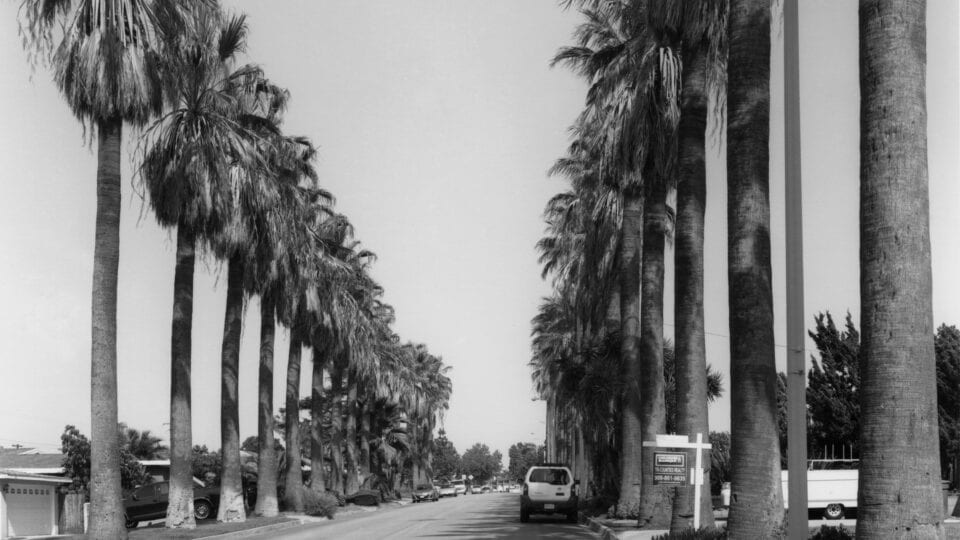 Aesthetica Magazine - Retraced Footsteps