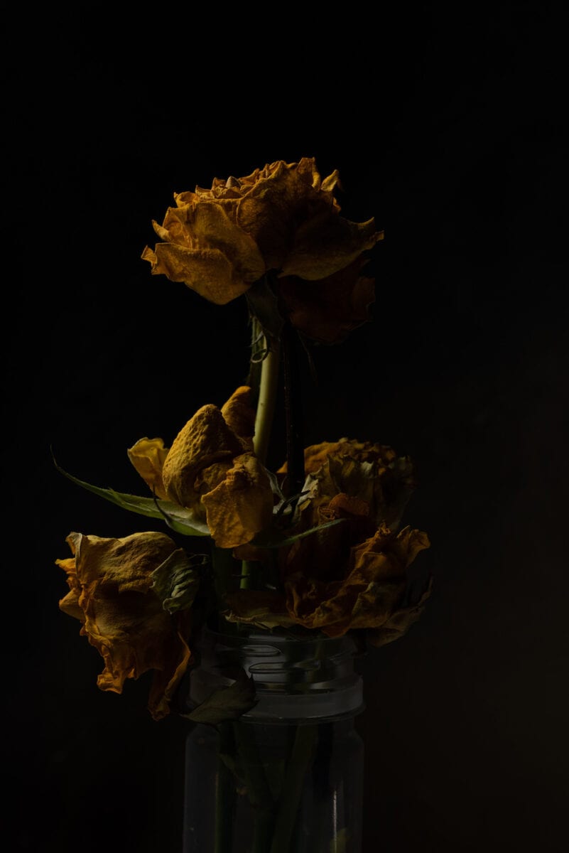 Aesthetica Magazine - Evie Webb