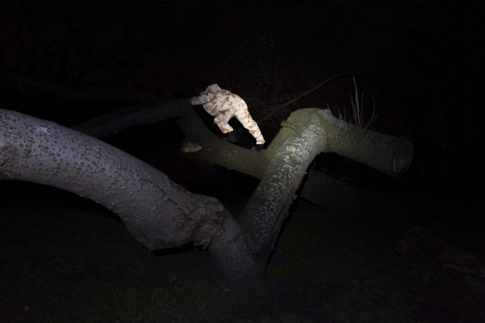 Aesthetica Magazine - Laura Dester