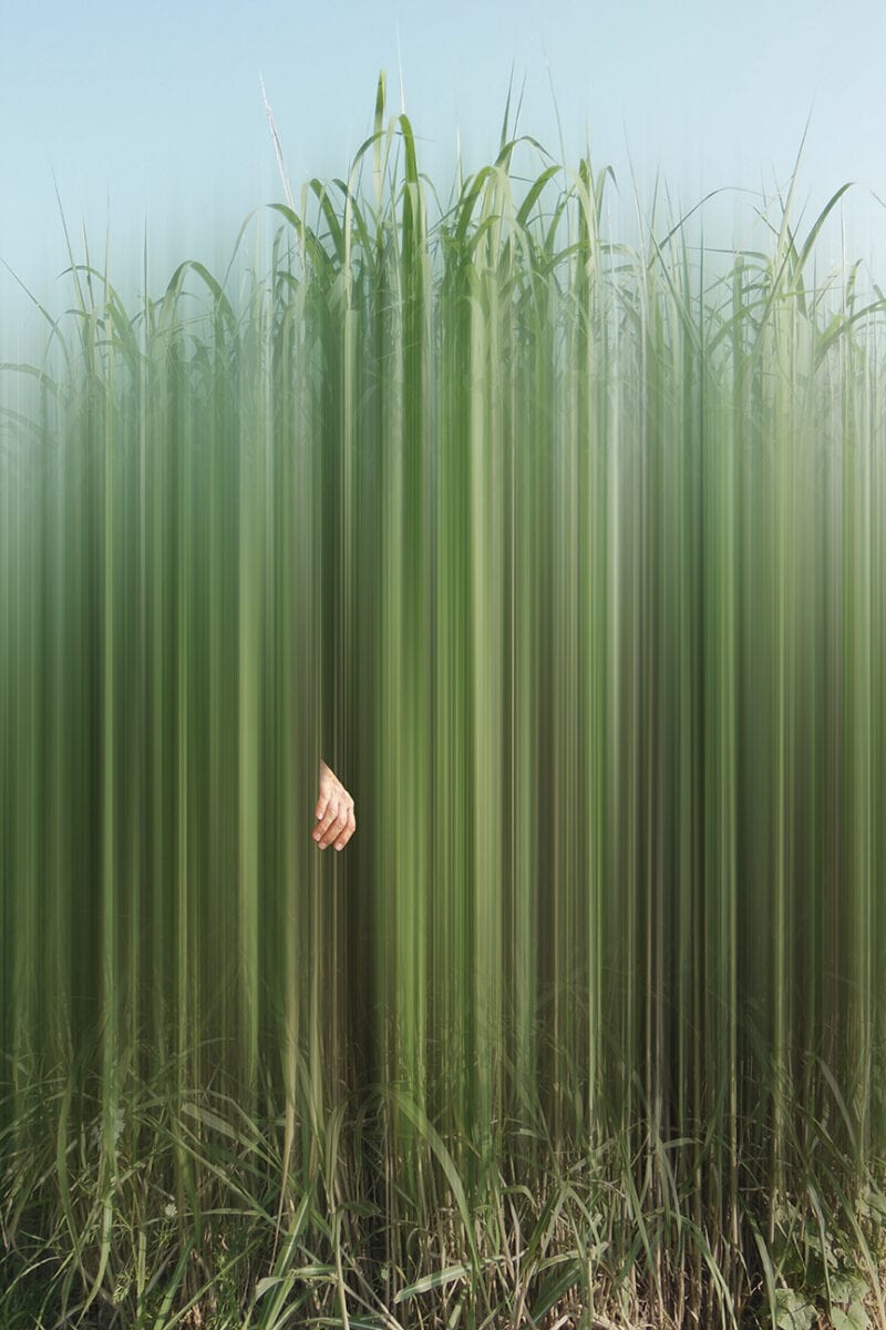 Aesthetica Magazine - Altered Landscapes