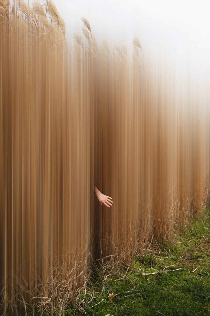 Aesthetica Magazine - Altered Landscapes