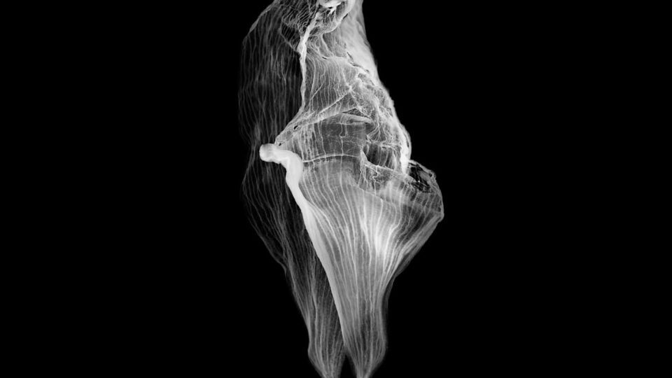 Aesthetica Magazine - Sarah Connell