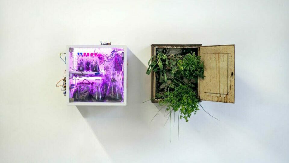 Aesthetica Magazine - Jacob Talbot