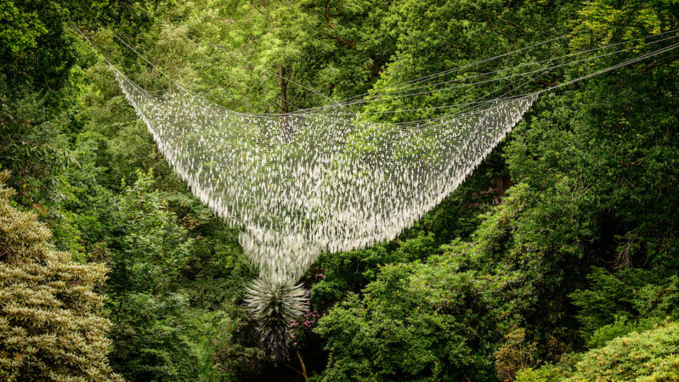 Aesthetica Magazine - Green Networks: Rooted at Wakehurst