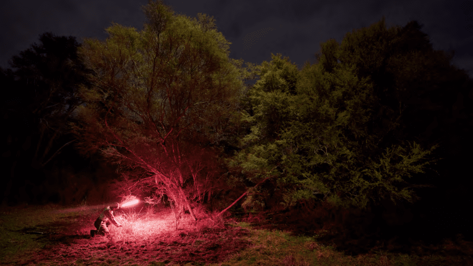 Aesthetica Magazine - A Living River